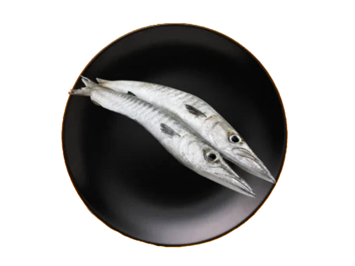 Fresh White Barracuda (Safaid Kund) Fish – Tawaqqo - Fresh to Home